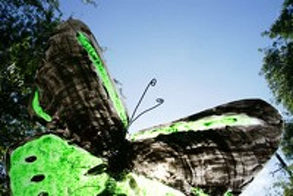 The Butterfly Project honors Holocaust victims