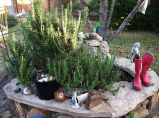 GumboSoil: Don't forget rosemary, the plant of remembrance