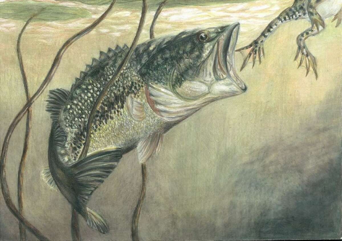 Texas State-Fish Art Contest winners announced