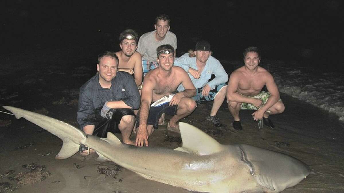 Weekend bachelor party reels in nearly 9-foot bull shark in Galveston ...