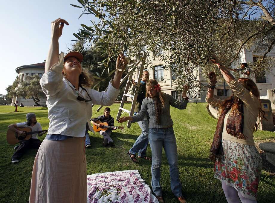 The best 'hippie towns' in the Bay Area and Northern California - SFGate