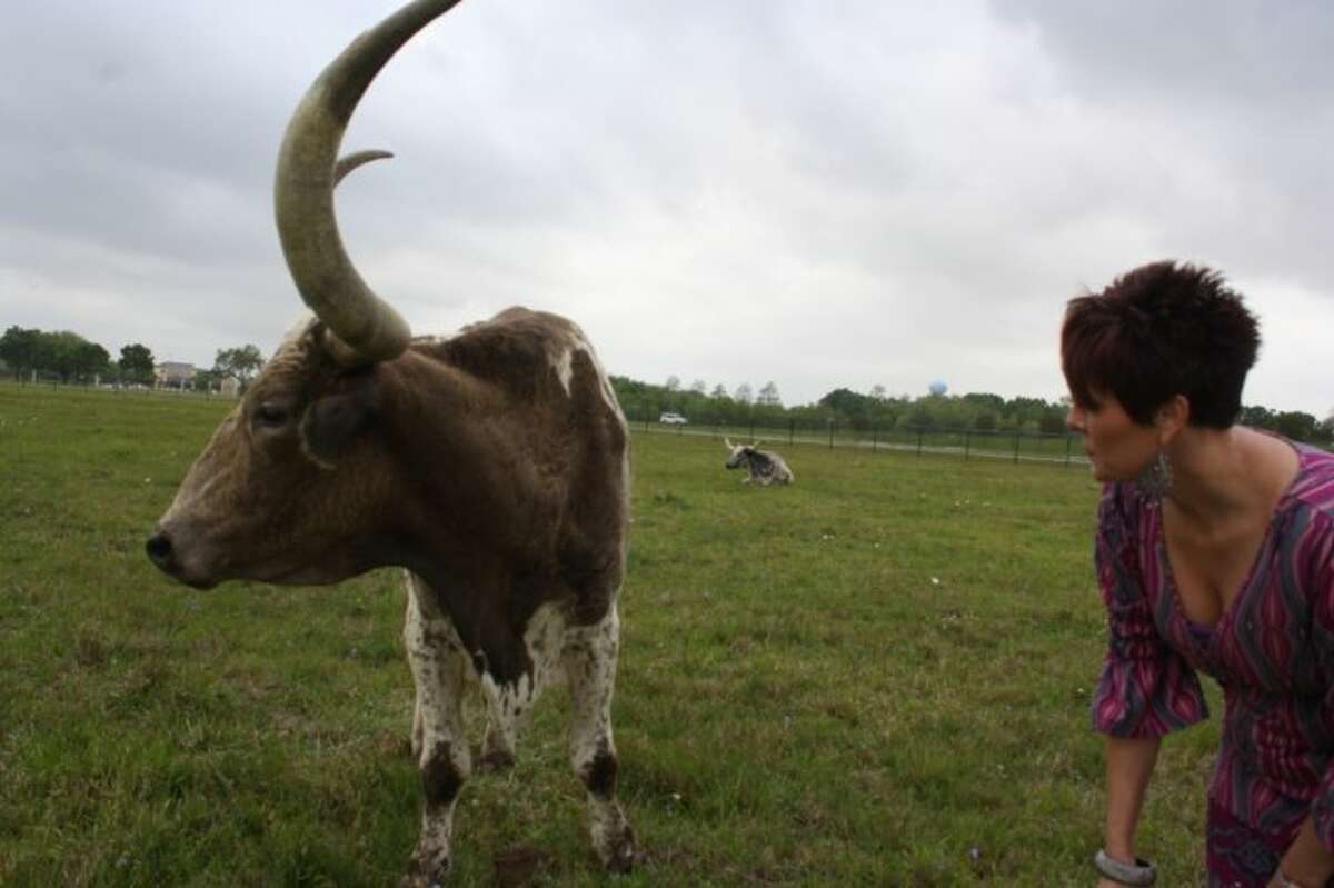 Where the longhorn roam at NASA