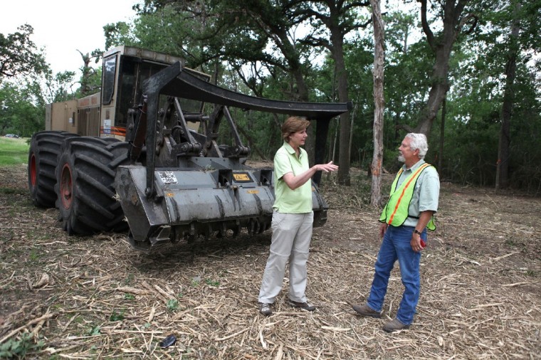 Memorial Park works to build new, healthy forest