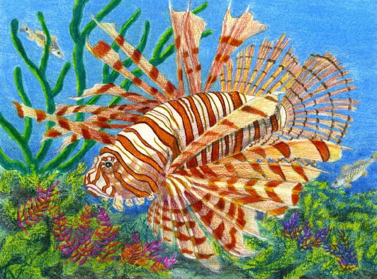 Texas State-Fish Art Contest announces 2013 winners