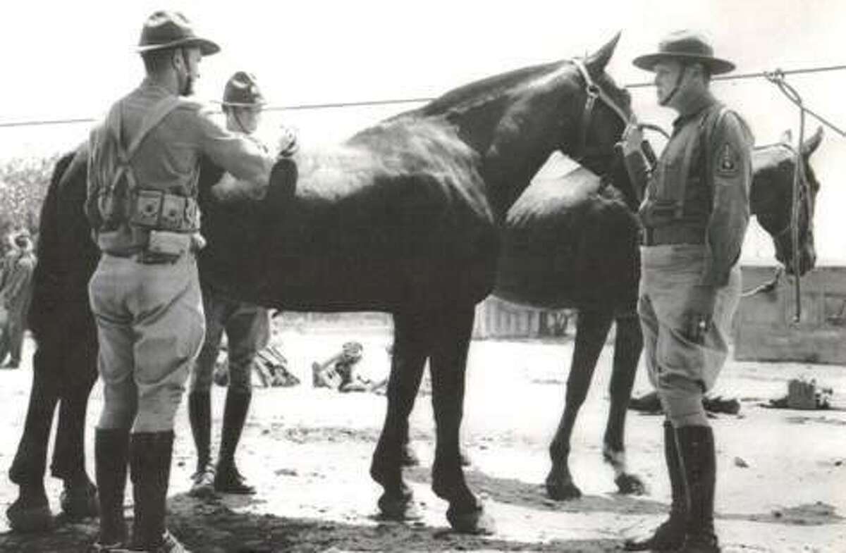 One of last WWII horse soldiers dies