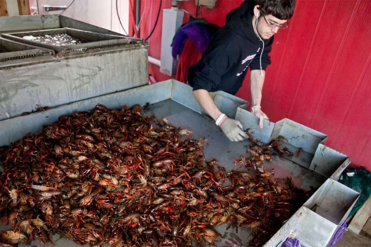 Customers return every year for Meaux crawfish
