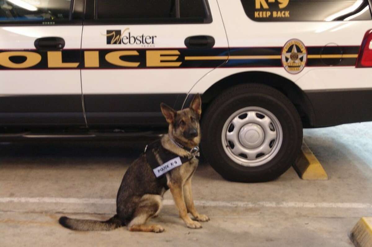 Webster Police seeking donations for new K9