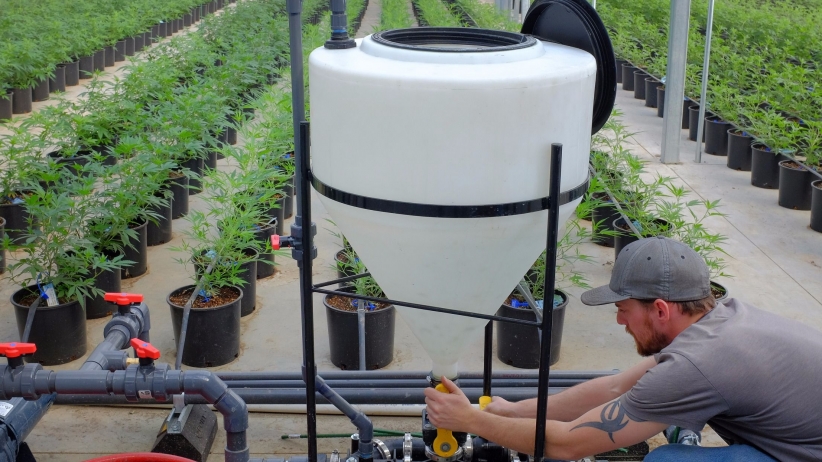 How to Grow a Cannabis Farming Business in the Blazing Marijuana Economy