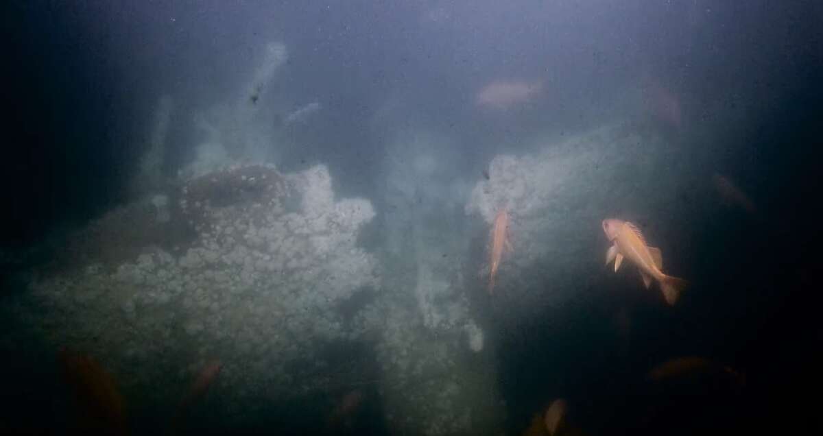 Video: Nautilus crew explores undersea wreck site of SS Dorothy Wintermote