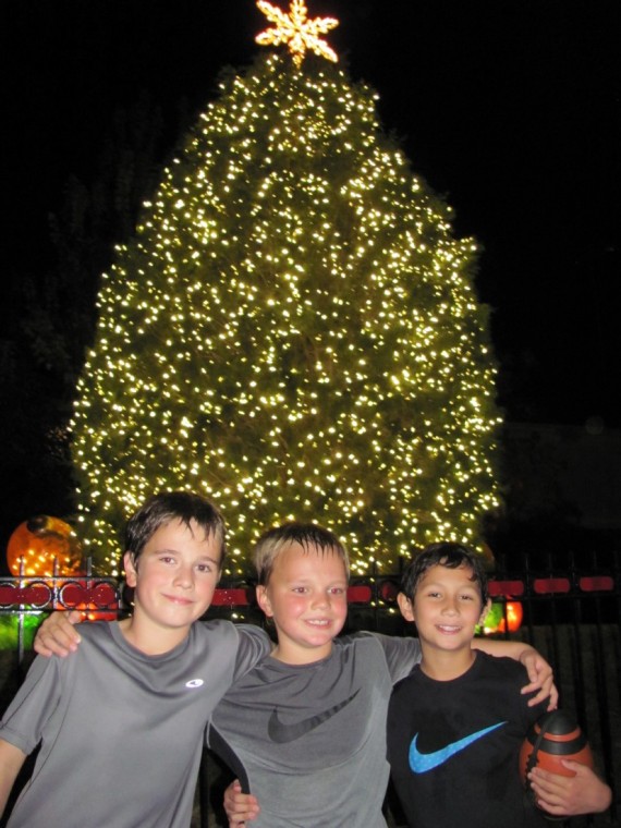 West U tree-lighting makes spirits bright