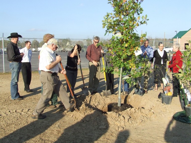 ReLEAF program helping to regrow trees lost to wildfires in Magnolia