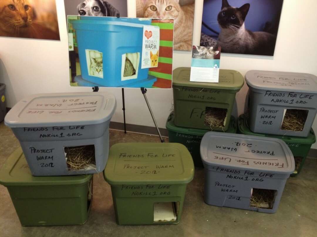 Friends For Life initiative gives feral cats shelter for winter