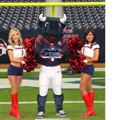 The ultimate Houston Texans fan could win a personalized license plate