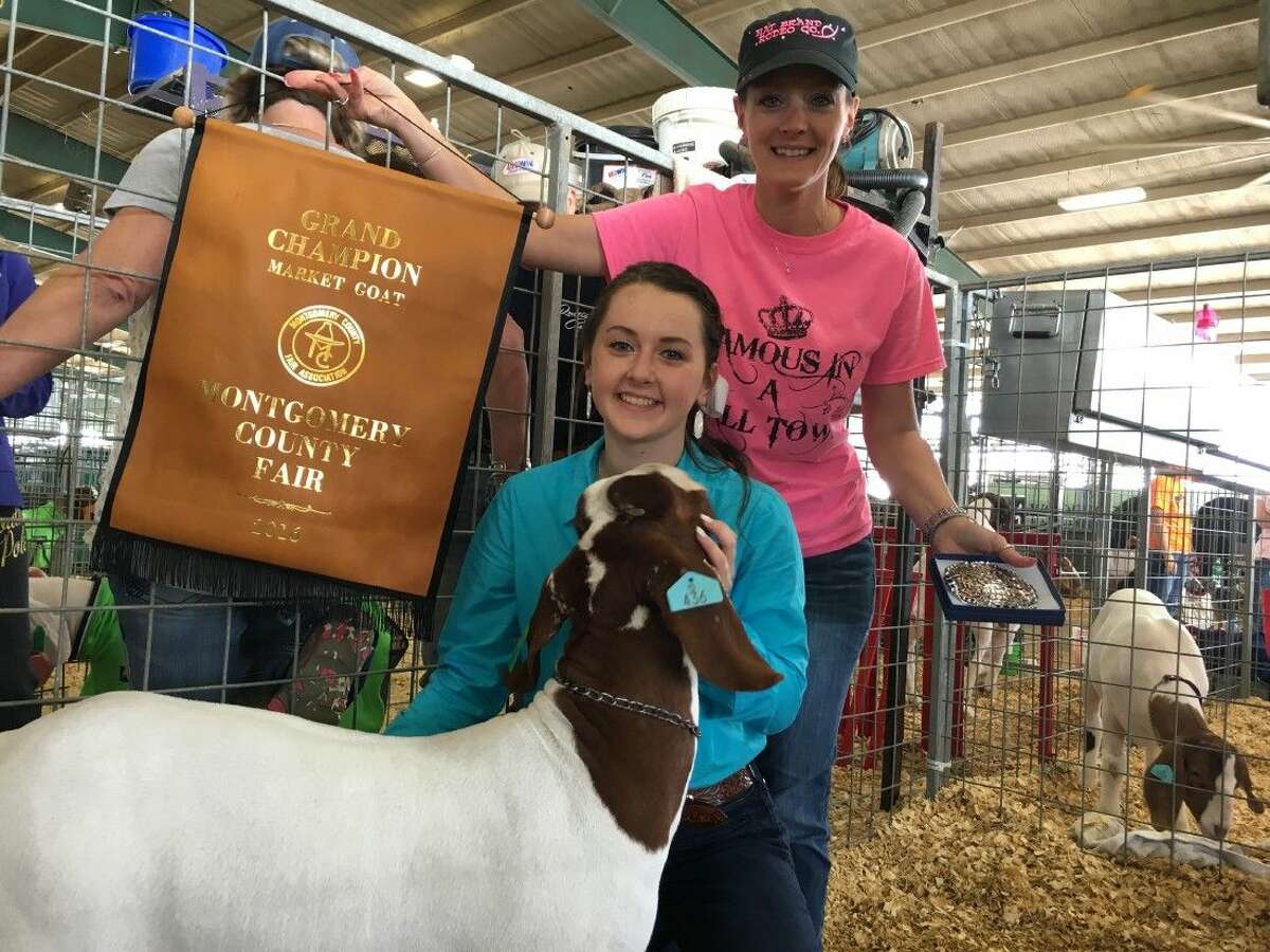 Senior market goat grand champion wins last show