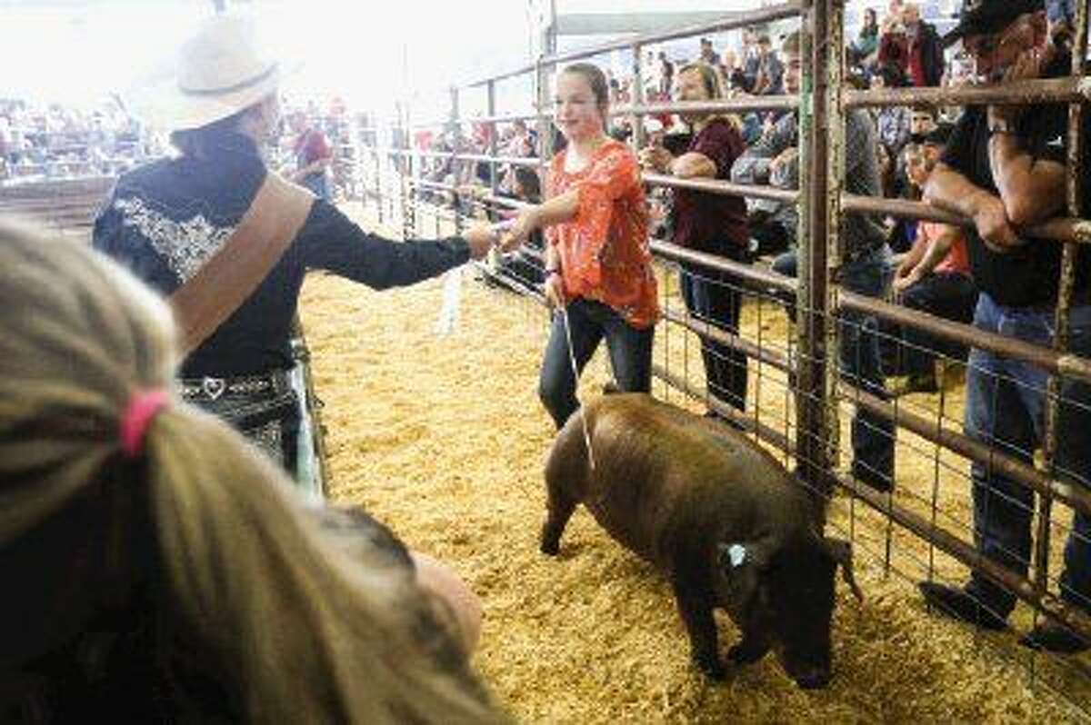 Newcomer takes Grand Champion in market barrows