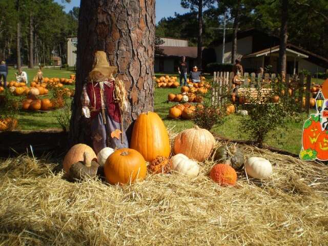FALL FESTIVALS & EVENTS CALENDAR