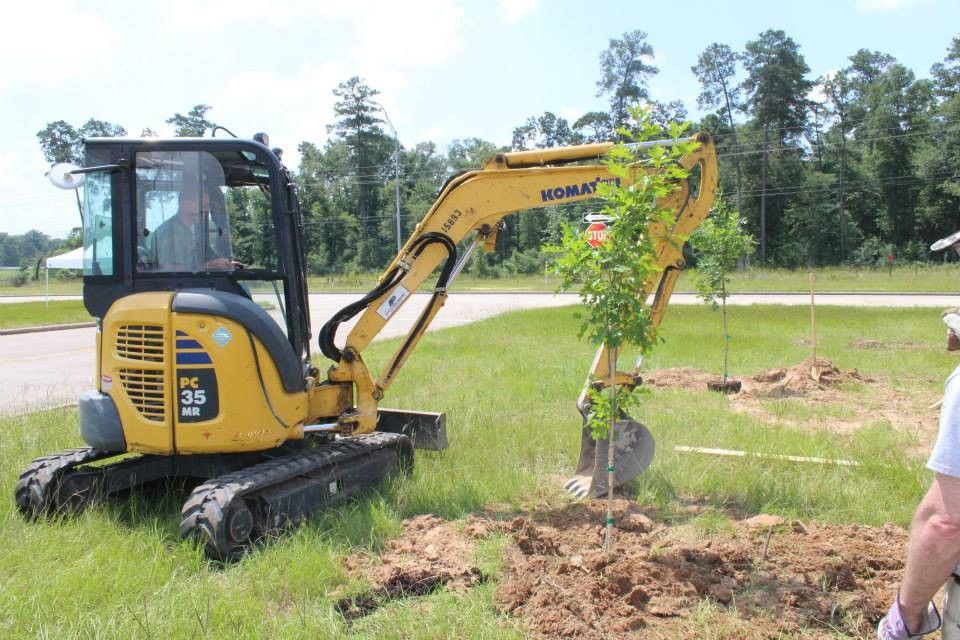 Conroe employee tree-planting project making progress