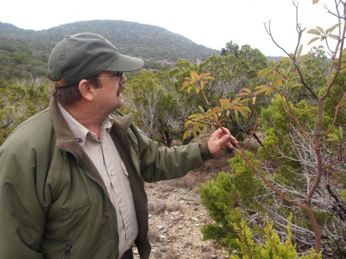 More state-owned land could open for Texas parks