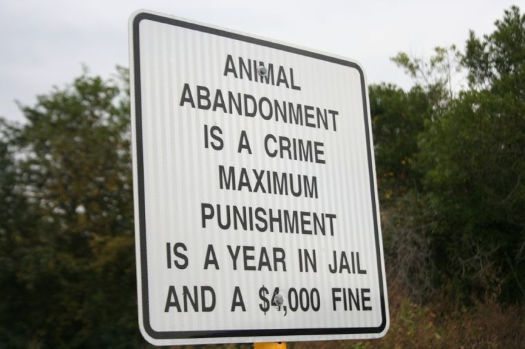 DA leading charge on animal cruelty crackdown