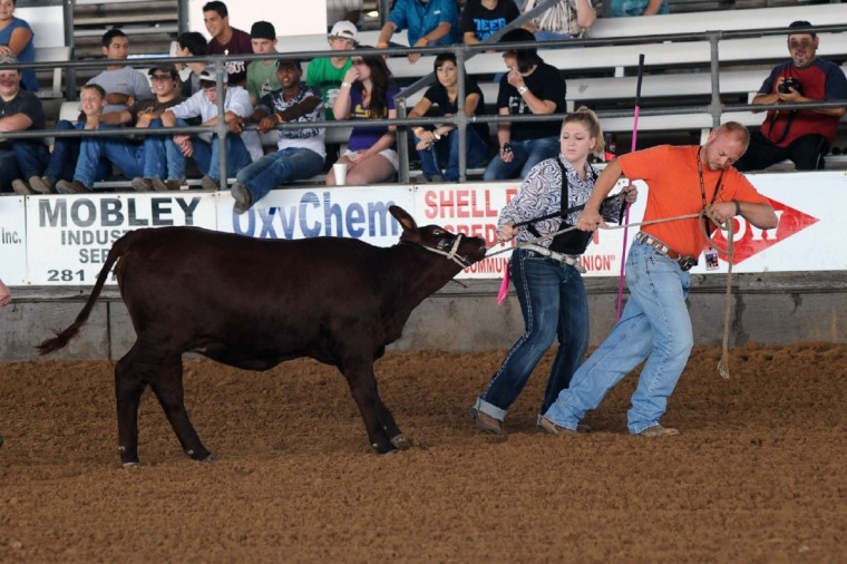 Pasadena rodeo days ends with a kick!