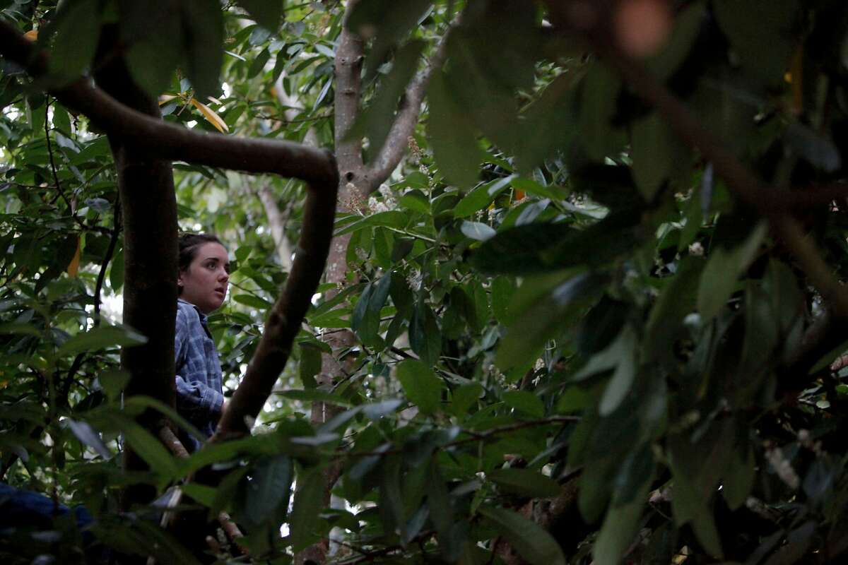 Cake lead singer John McCrea offers charged commentary at Hardly ...