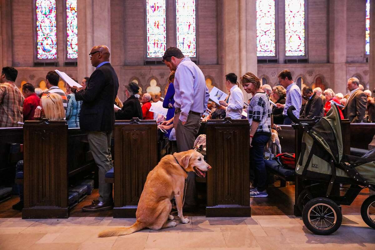 Grace Cathedral’s pet project draws furry churchgoers