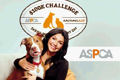 Animal shelters to compete for $600,000 in prize grants for saving more ...