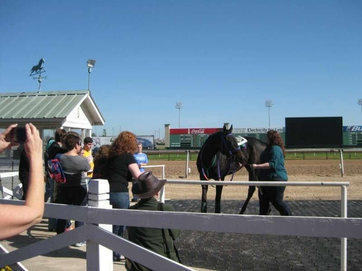 SIRE rides at Sam Houston Race Park