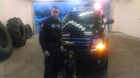 Faulty tail light and drug dog lead to $450K cocaine bust in Rosenberg