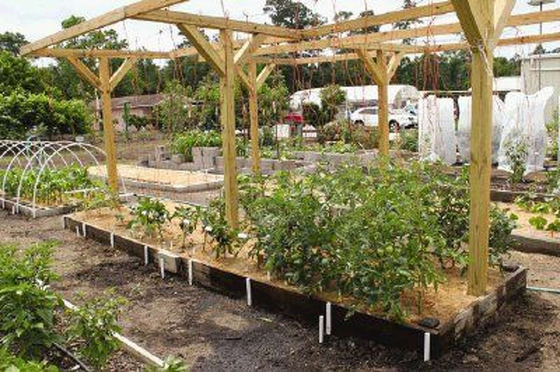 Helpful hints for constructing a versatile Mittleider garden