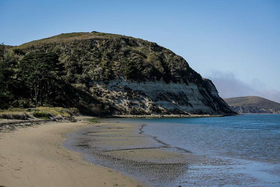 Thousands of elephant seals crowd Point Reyes, shut down popular beach ...
