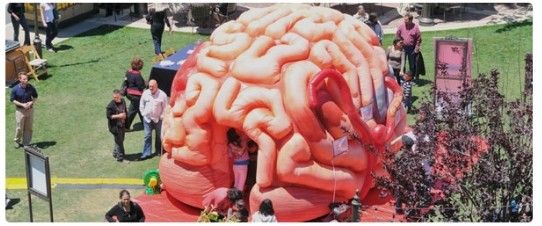 MEGA Brain Fair coming Jan. 9