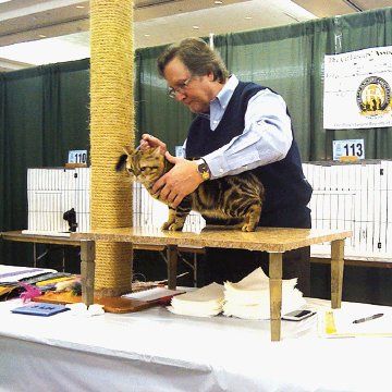 Houston Cat Show set for Humble Civic Center Jan. 9-10