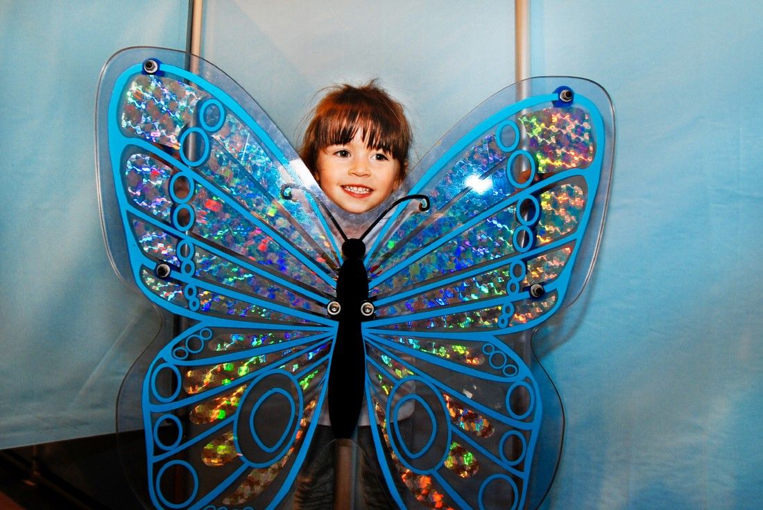 HMNS Sugar Land features interactive butterfly experience, Feb. 20