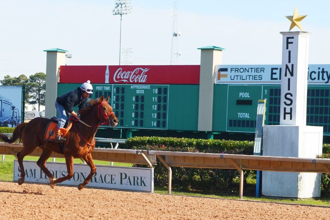Sam Houston Race Park opens thoroughbred season Friday