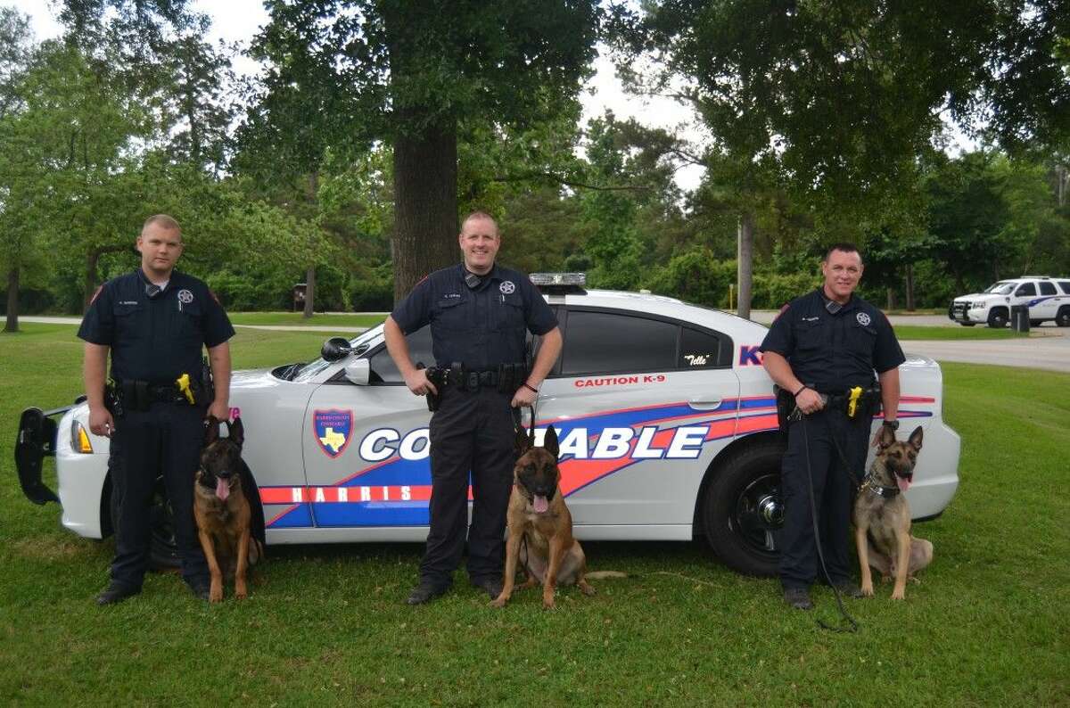 Harris County Precinct 4 Constable's Office welcomes three new K-9s to ...
