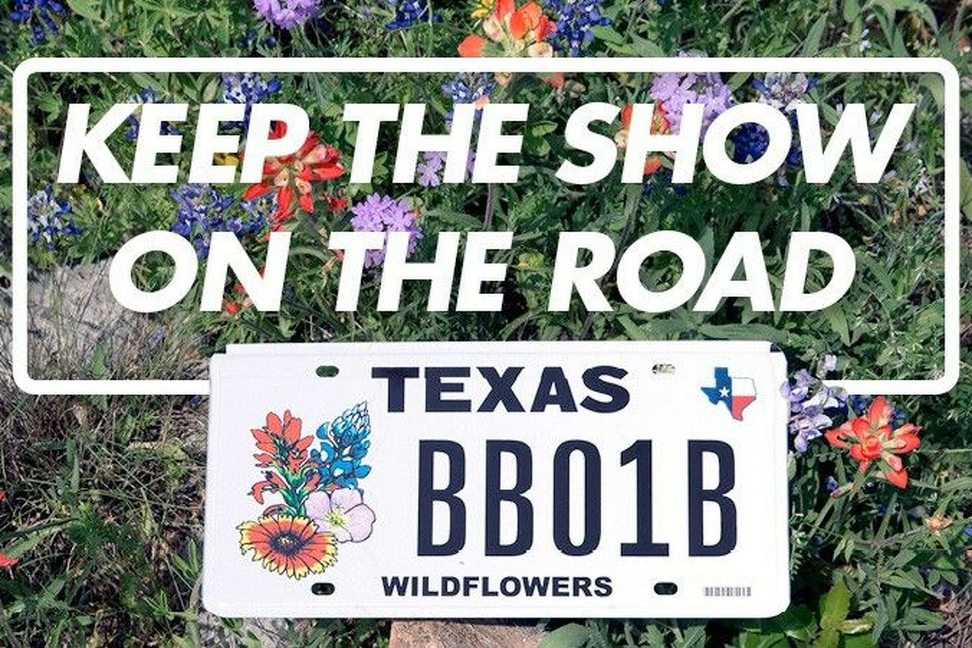 Texas Wildflowers license plates available