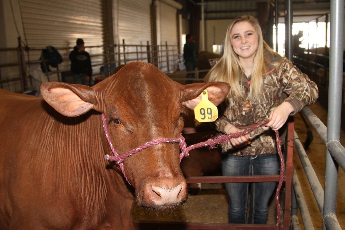 Tomball ISD’s 40th annual FFA Show and Sale successful