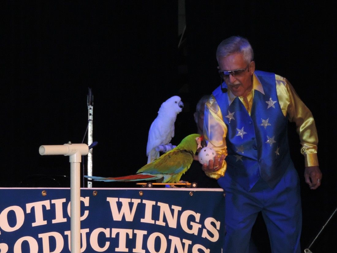 ‘Birdman’ to entertain children at Liberty library June 18