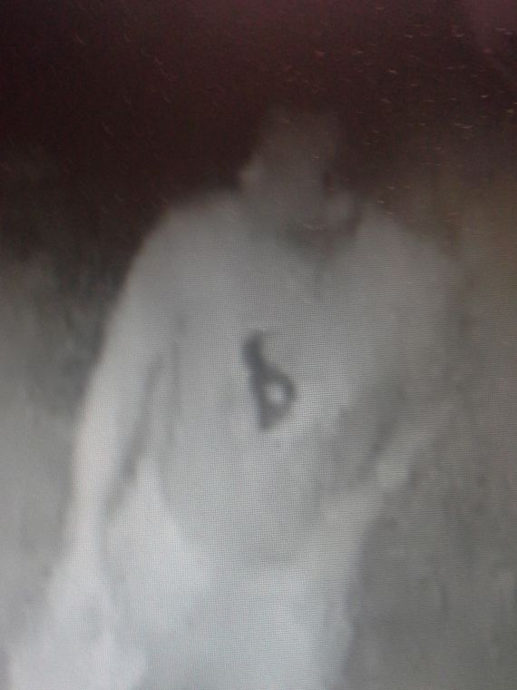 Peeping Tom In Katy Area Sought