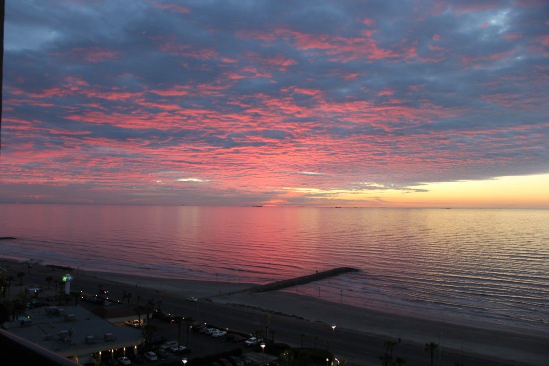 GLO Launches new beach safety app, Texas Beach Watch helps families ...