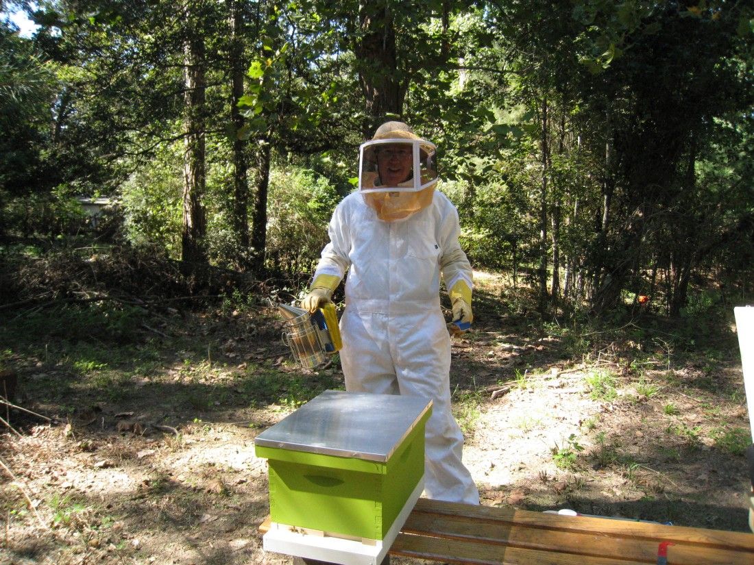 Kingwood resident delves into beekeeping hobby