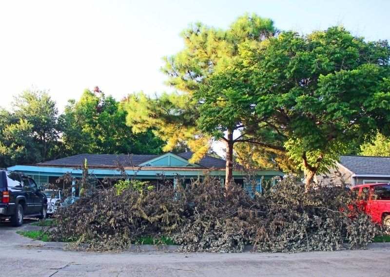 Houston to resume tree waste and heavy trash collection