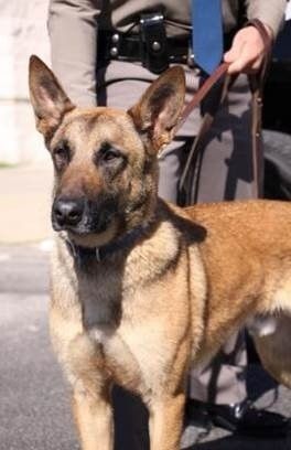 DPS graduates new trooper-canine teams
