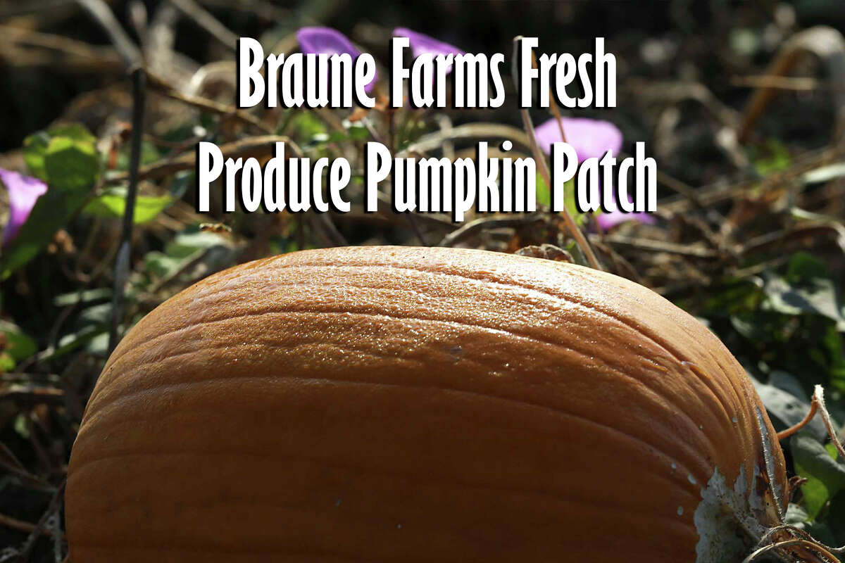 Pumpkin patches and haunted houses to visit in San Antonio this year