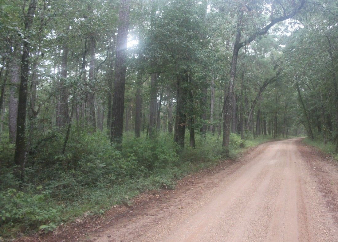 Camp Strake set to move to Evergreen