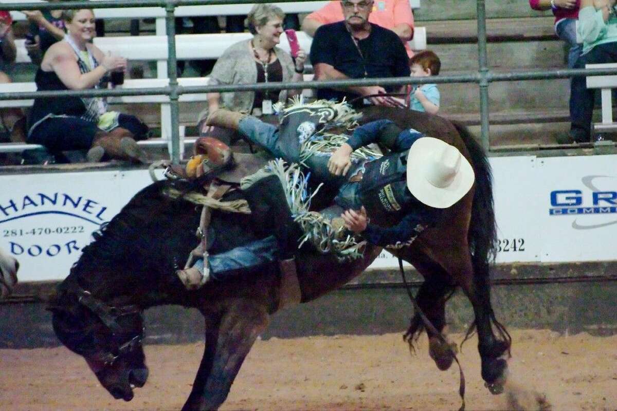 Pasadena Livestock Show and Rodeo a hit