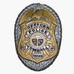 Tomball Police Department Report