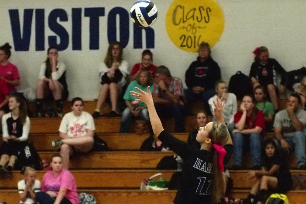 Hardin Lady Hornets add to winning streak with 3-0 sweep of Kirbyville