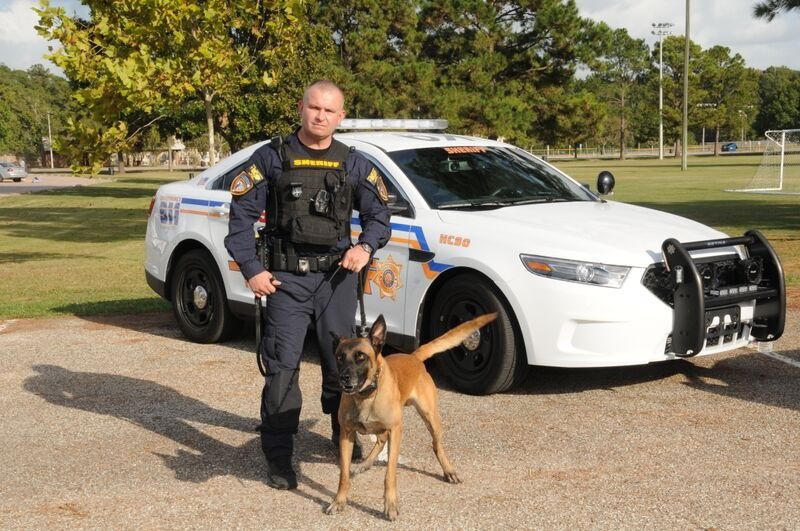 HCSO K9 sergeant and partner apprehend suspect